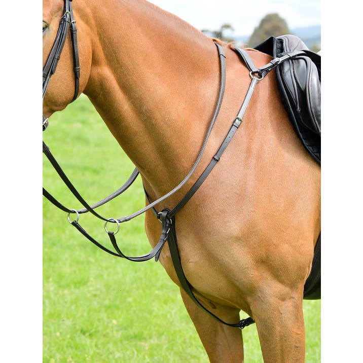 Kincade Classic 3 Point Breastplate With Running Martingale - Nags ...