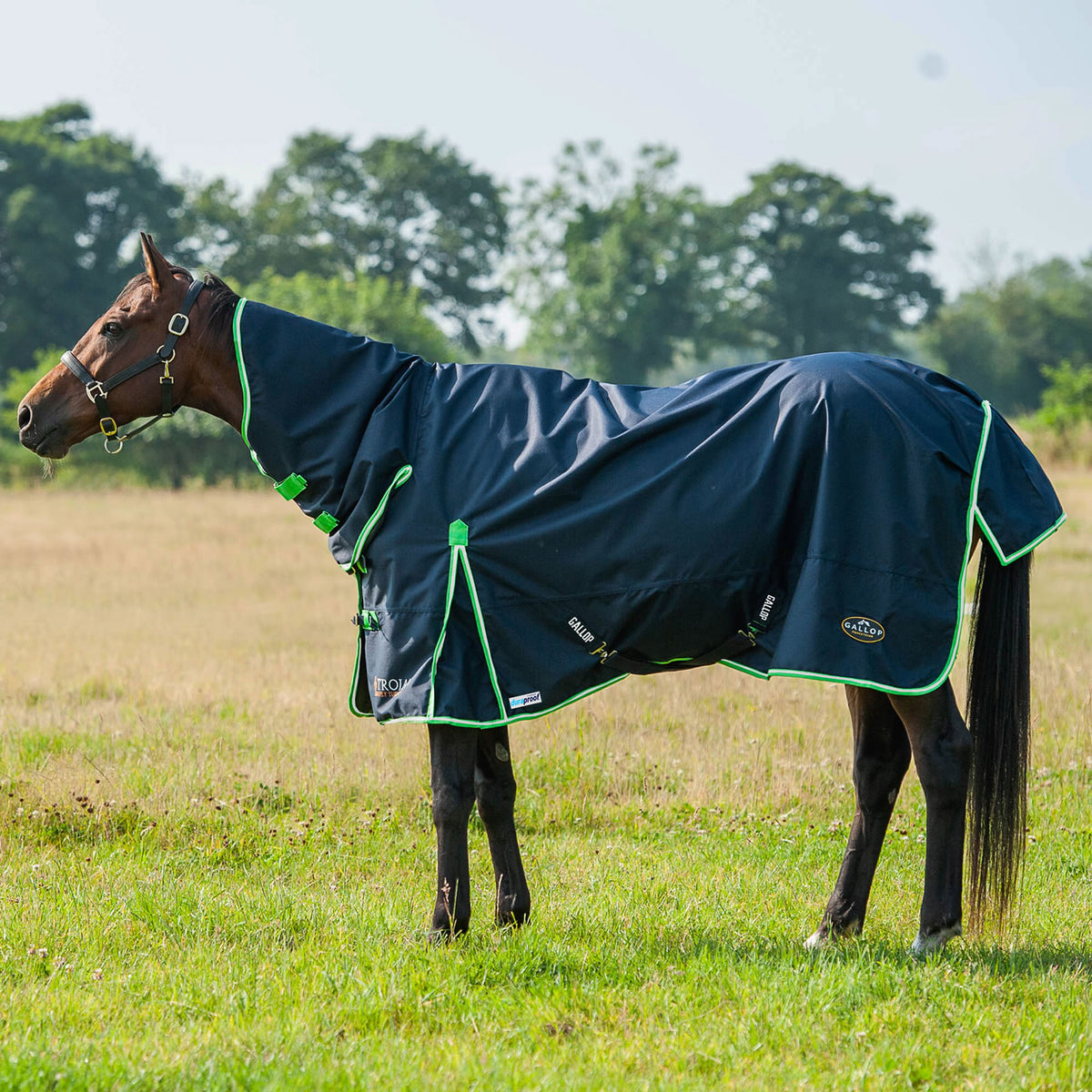 Gallop Trojan Duraproof Lightweight Turnout Combo - Navy - Nags Essentials